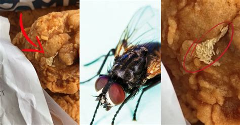 ‘i Was In Disbelief When I Opened My Box Of Chicken A Churchs