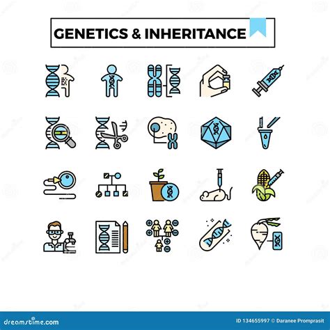 Genetics And Inheritance Filled Outline Design Icon Set Stock