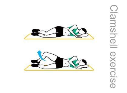 Clamshell Exercise The Good Exercise Guide