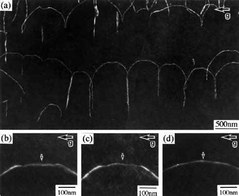 Deformation Substructure In Ti±580 Atal Single Crystals Deformed Download Scientific Diagram