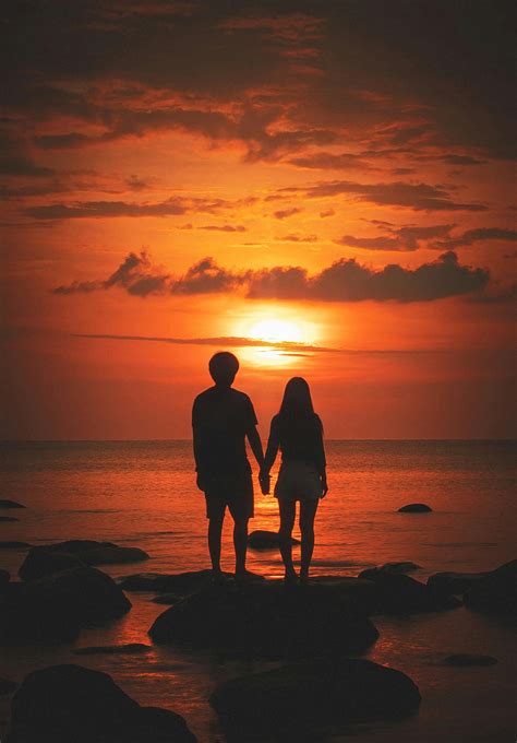 What Does Harem Love Mean