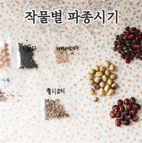 도시농부텃밭 농사 계획 새우기 And 작물별 파종시기 네이버 블로그