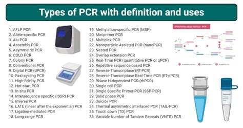 Types Of Pcr Polymerase Chain Reaction Definition And Uses
