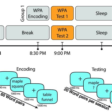 Timeline Of The Encoding And Test Sessions Of Wpa Task And Details Of Download Scientific