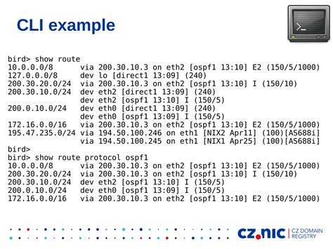 BIRD Routing Daemon PDF