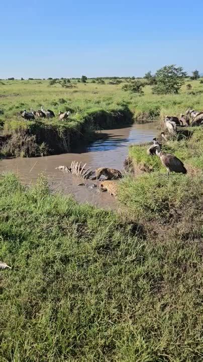Video Sipho Phiri On Linkedin Greeninvestments Leapfrogging