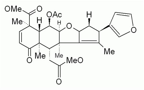 Plant Neem