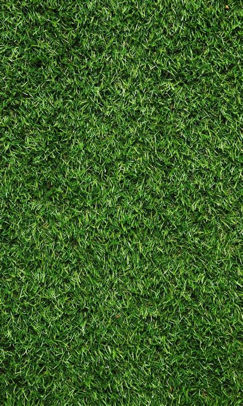 Custom Photography Background Props Grass Wall Backdrop