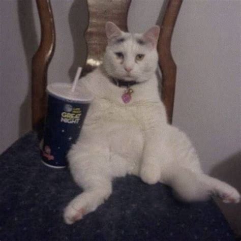 小汉库克创作者主页青岛学生 站酷zcool