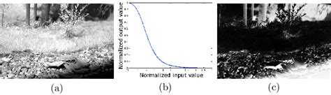 effect of the non linear mapping function a is the input nir image