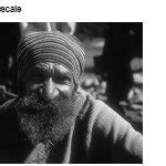 The Formed Histogram Download Scientific Diagram