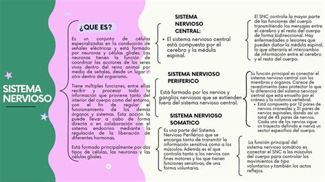Arq Mapa Mental Mapa Conceptual Y Cuadro Sinóptico Comparación