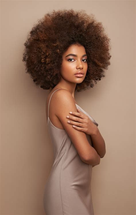 Beauty Portrait Of African American Girl With Afro Hair By Oleg Gekman
