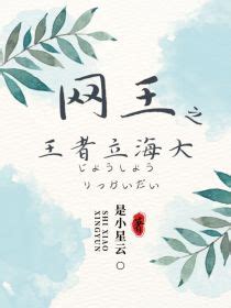 网球王子之王者立海大 是小星云 全本免费阅读 话本小说网