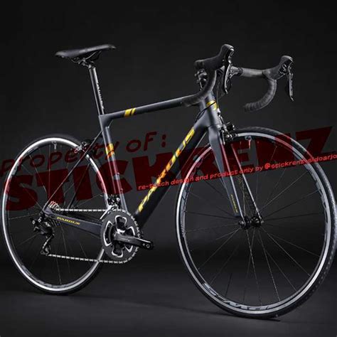 Jual Cutting Sticker Frame Sepeda Roadbike Pardus 01 Custom Shopee