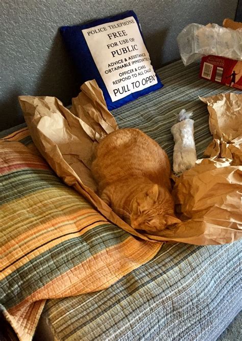 Pin By Crystal Inman On Simba Paper Shopping Bag Simba Police