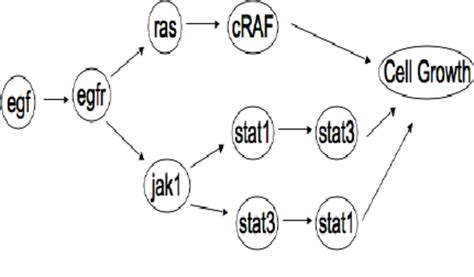 Sample Pathway Part Of Egf Pathway Download Scientific Diagram