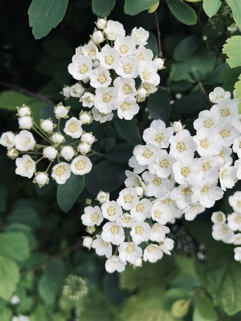 Publications — Rahul Ranjan