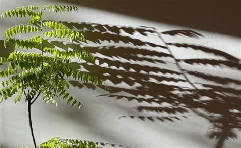 Benjamin Day On Linkedin Create Solutions And Class Diagrams With Solutionutil Slnutil