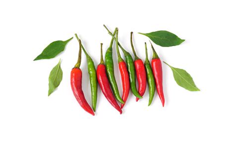 톱 뷰 레드 그린 칠리 페퍼와 칠리 잎은 흰색 배경에 고립되어 있습니다 타이칠리 페퍼에 대한 스톡 사진 및 기타 이미지 타이칠리 페퍼 3가지 개체 양념류 Istock