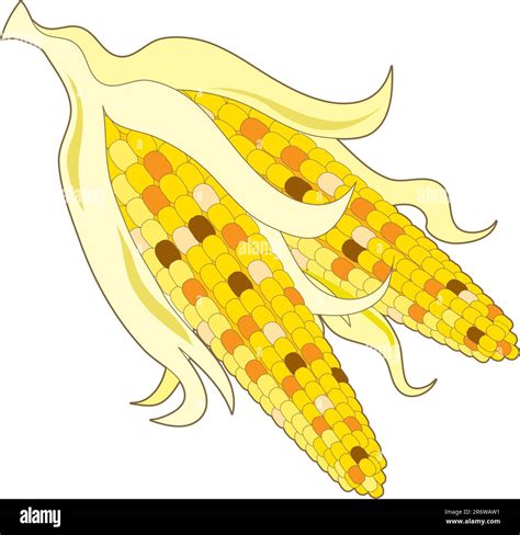 Native American Corn Clip Art Native Indian Corn Cut Out Stock Images