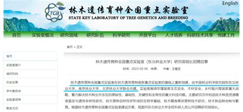 多校官宣！又一批全国重点实验室，来了