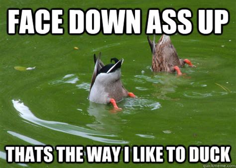 Face Down Ass Up Thats The Way I Like To Duck Duckrap Quickmeme