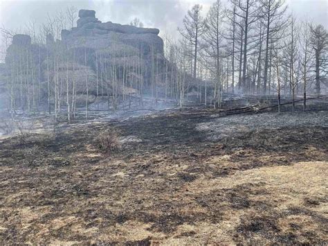 Гүнжийн сүмд ой хээрийн түймэр гарчээ Dnn Mn