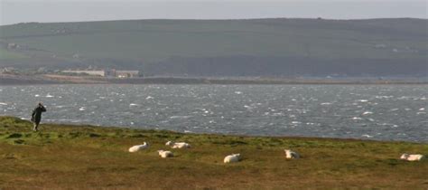 Dna Can Help Predict Life Expectancy The University Of Edinburgh