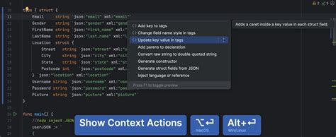 Working With Json Goland Documentation