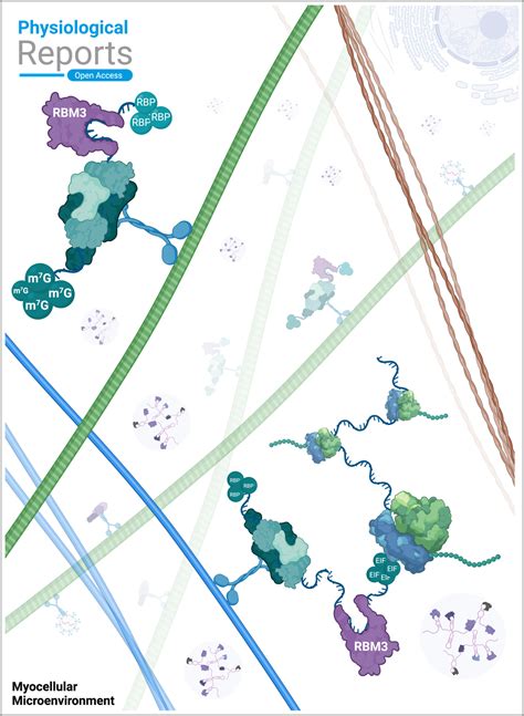 Physiological Reports Vol 11 No 3