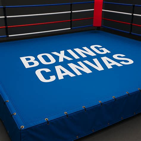 Boxing Ring Canvas Durable Custom Options At Daan Mma Daan Mma
