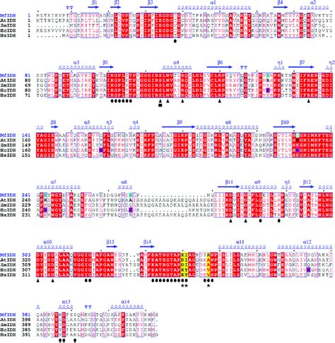 structure based sequence alignment of mfidh with other dimeric idhs