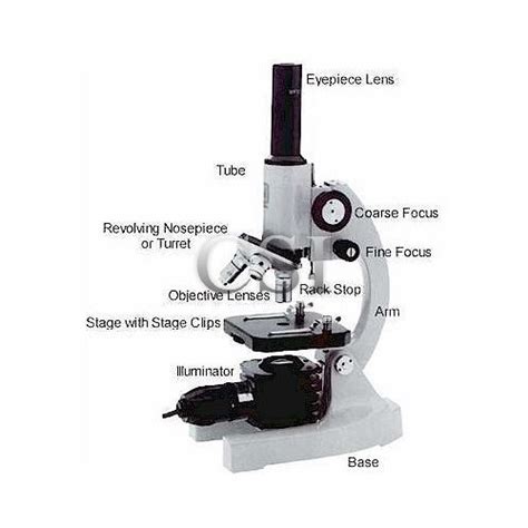 Buy Compound Microscope Olympus Get Price For Lab Equipment