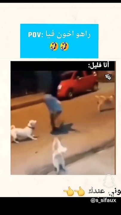 كونغ فو باندا 😂😂 Youtube