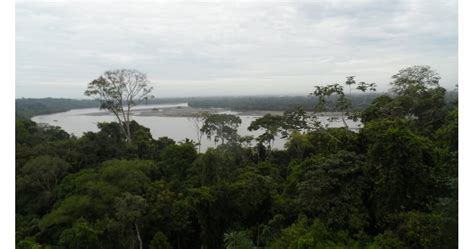 Из дебрите на Амазонската джунгла Видео снимки