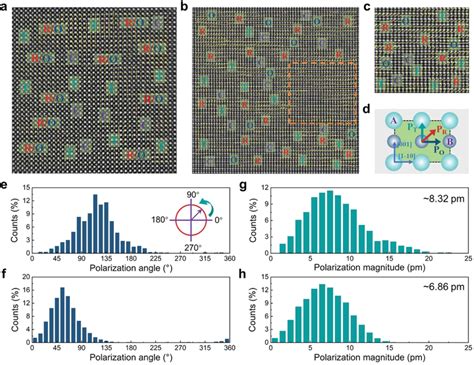 Local Diverse Polarization Ab Atomic‐resolution Haadf Stem