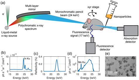 Laboratory X Ray Fluorescence Xrf Tomography For Download
