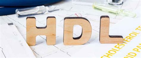 Hdl Kolesterol Nedir Hdl Kolesterol Kaç Olmalıdır Hdl Kolesterol Yüksekliği Ve Düşüklüğü Neden