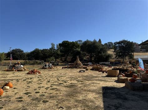 Zittel Farms Updated June 2026 54 Photos And 50 Reviews 6781 Oak
