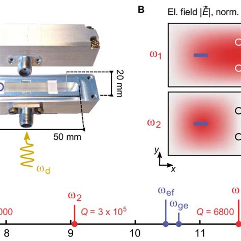Transmon In A 3d Cavity With Mode Selective Coupling Ports A Edited