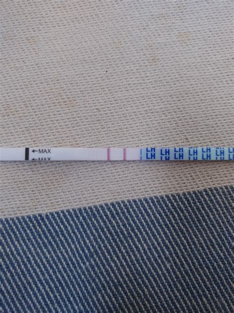 74 Best Cd23 Images On Pholder Tfab Line Porn Azure Lane And Tfab