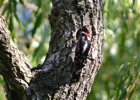 Landscape Nature And Wildlife Photography Done By Angie K Johnson