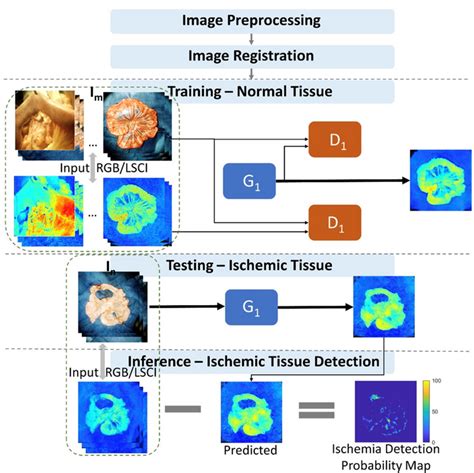 Quantitative Diagnosis Of Bowel Ischemia With Deep Learning