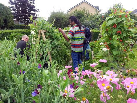 Horticulture Courses Training And Educators In Ireland And Northern