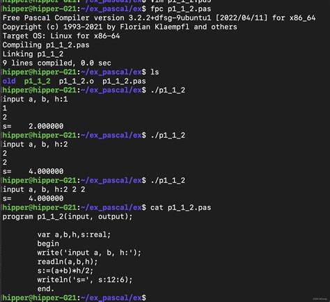 几个简单的 Pascal 程序示例pascal过程简单示例 Csdn博客