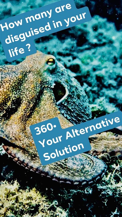 Illusions Cognitive Behavior Illusions Life