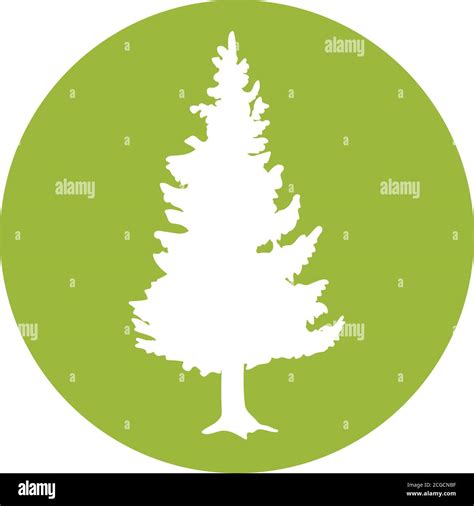 Pine Tree Graphiv Design Element Stock Vector Image And Art Alamy