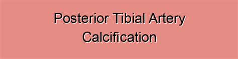 Posterior Tibial Artery Calcification