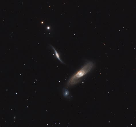 ngc 5560 ngc 5566 ngc 5569 aka arp 286 anthony quintile astrobin